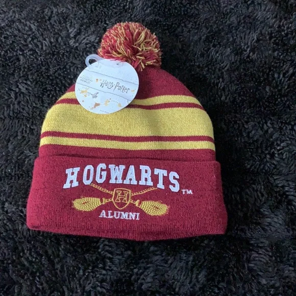 Harry Potter Winter Hat